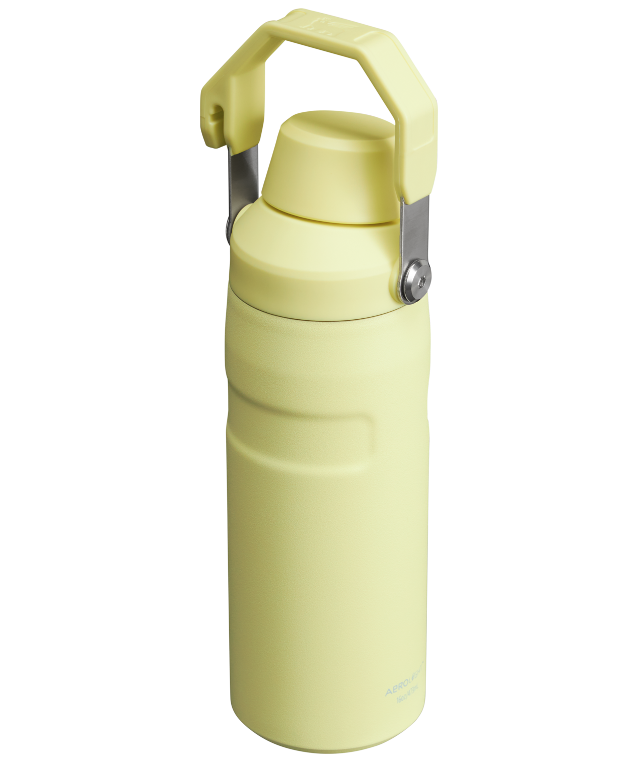 IceFlow™ Trinkflasche mit Schnellfluss-Deckel, 16 oz, Pomelo – BPA-frei ...